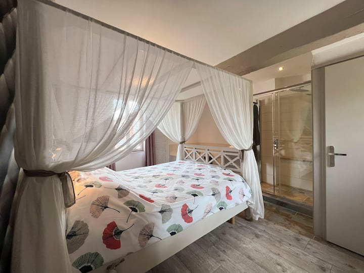 Apartment In Tarn With Pool And Bubble Bath - Rabastens