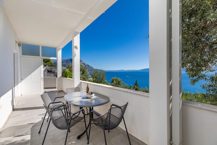 A-24856-a Appartement D'une Chambre Avec La - Brist