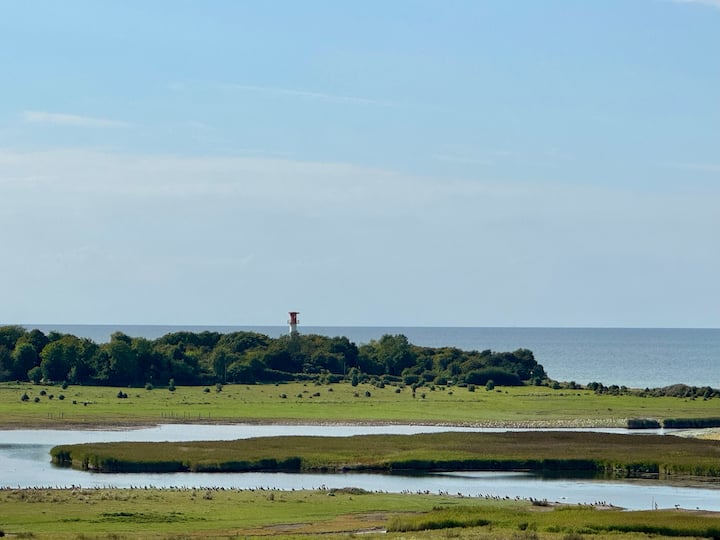 "Traumaussicht" M-7-6 (297638) - Heiligenhafen