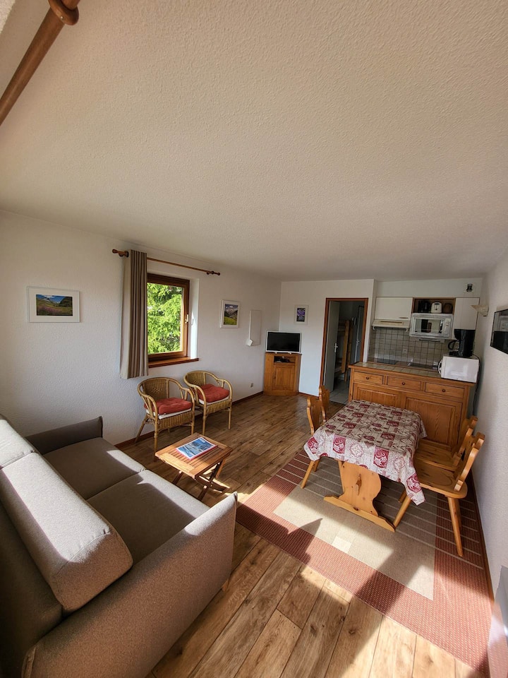 Appartement 2 Pièces Coin Montagne - 4 Personnes - Bessans