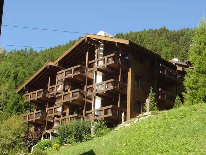 Taillis 03 - Grimentz