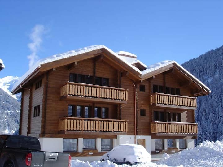 Platane B 05 - Grimentz