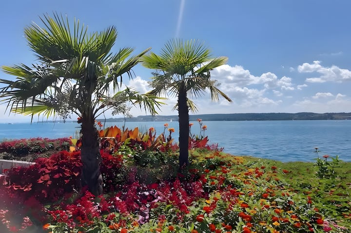 Directly On The ÜBerlingen - Konstanz