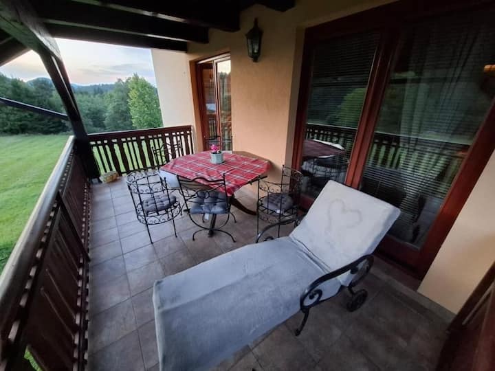 A-24880-a Appartement De Deux Chambres Avec La - Osilnica