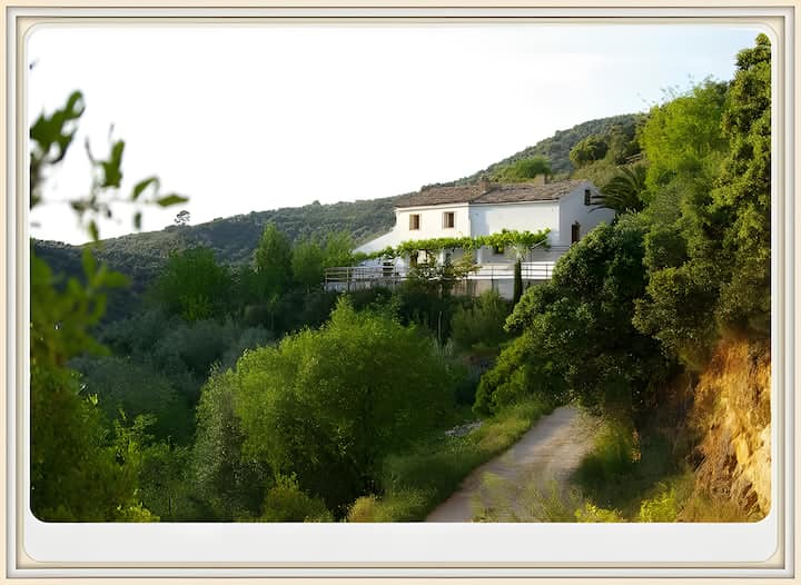 Finca Rústica La Pájara - Beas de Segura