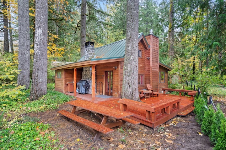 Pinery On The Sandy River - Oregon