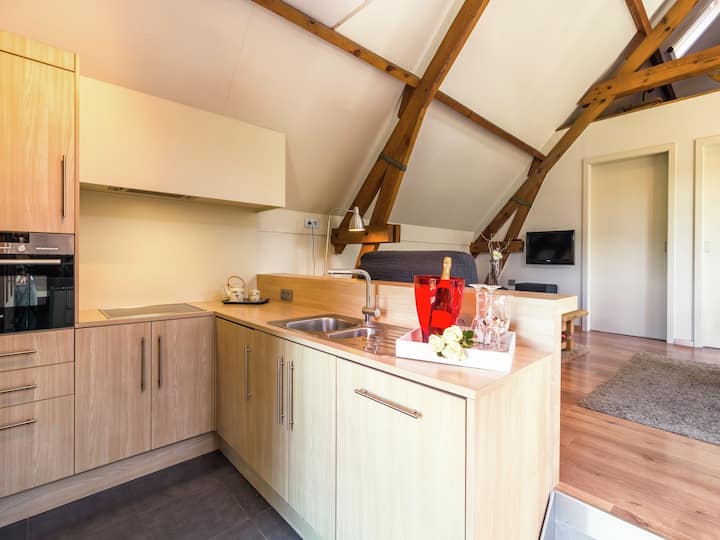 Appartement à Maldegem Avec Terrasse - Sint-Laureins