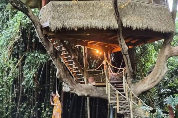 Threehouses At The Ark – Two Unique Jungle Treehou - San Germán