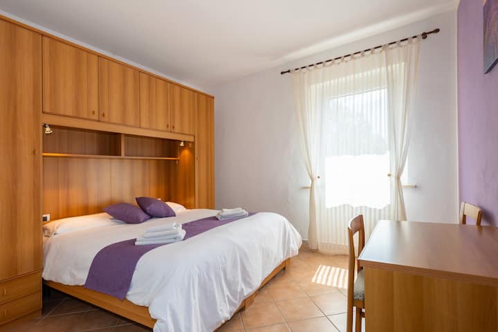 Lavanda - Rosignano Marittimo