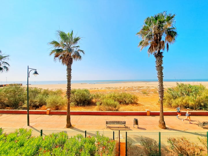 Alcaudon Ad1p22 - Vila Real de Santo António