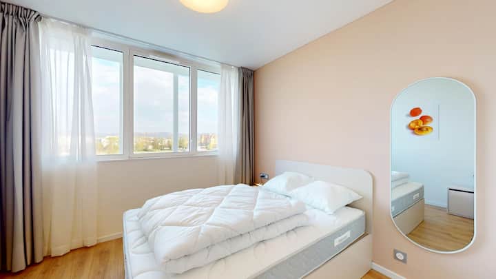 Détente Au Bord Du Rhin- Sauna & Cinéma - EuroAirport Basel-Mulhouse-Freiburg (BSL)