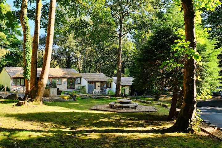 Finest Retreats | Joyful Cottage - Penzance