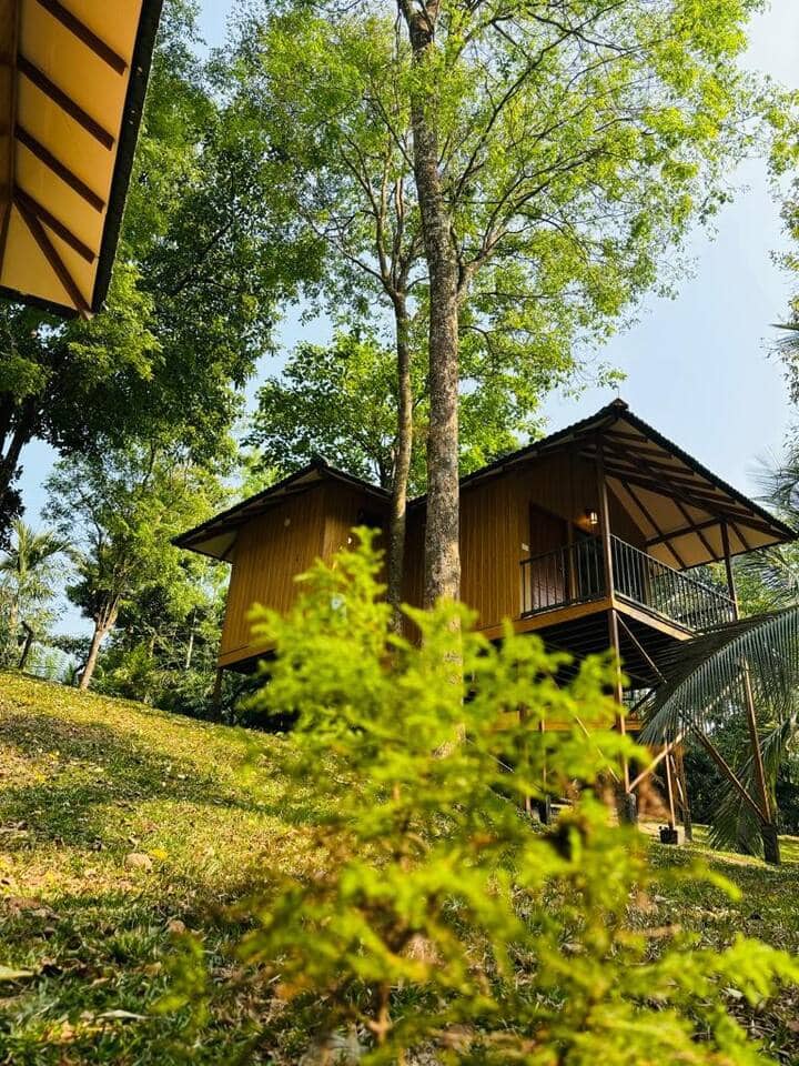 De Spicewoods | Infinity Pool | Ac | Garden View - Kerala