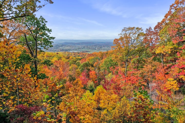 Mountain View Cabin~hottub~fireplace~king Bed - Virginia