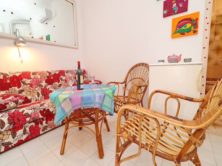 Appartement Avec 1 Chambre Et Terrasse - Ston