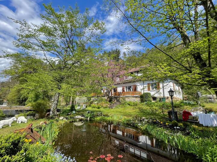 Appartement Cosy En Haute-franconie - Kronach