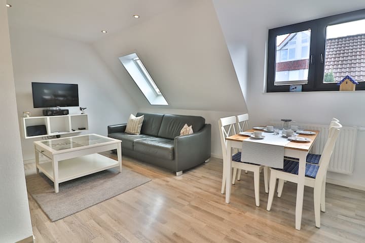 Austernfischer - Langeoog