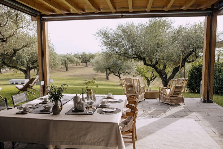 Villa With Olive Grove In Abruzzo - Chieti
