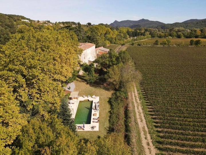 Domain With Swimming Pool And Reception Room - Hérault