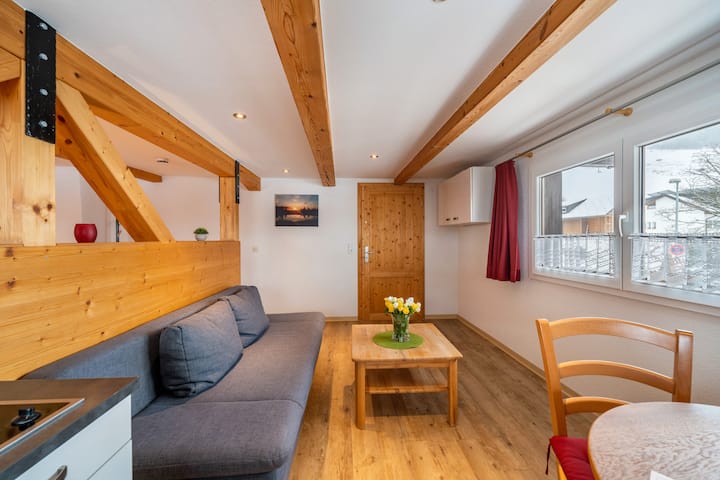 Ferienwohnung Bergsonne - Todtnau