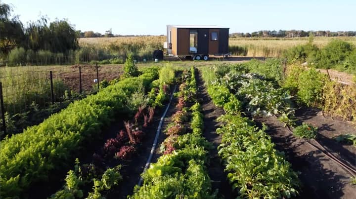 Revillaging Project By Tiny Away - Cape Schanck