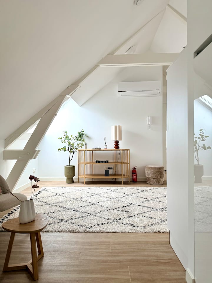 Elegant Appartement Stadscentrum Nieuw - Tilbourg