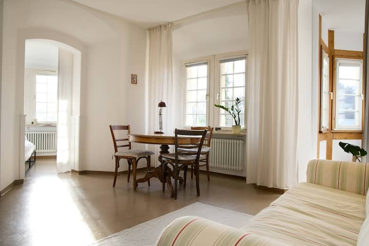 Komfortzimmer Auf Schloss Blumenfeld - Engen