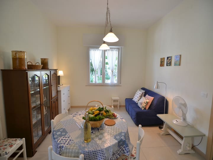 Séjour En Appartement En Bord De Mer - Cesenatico