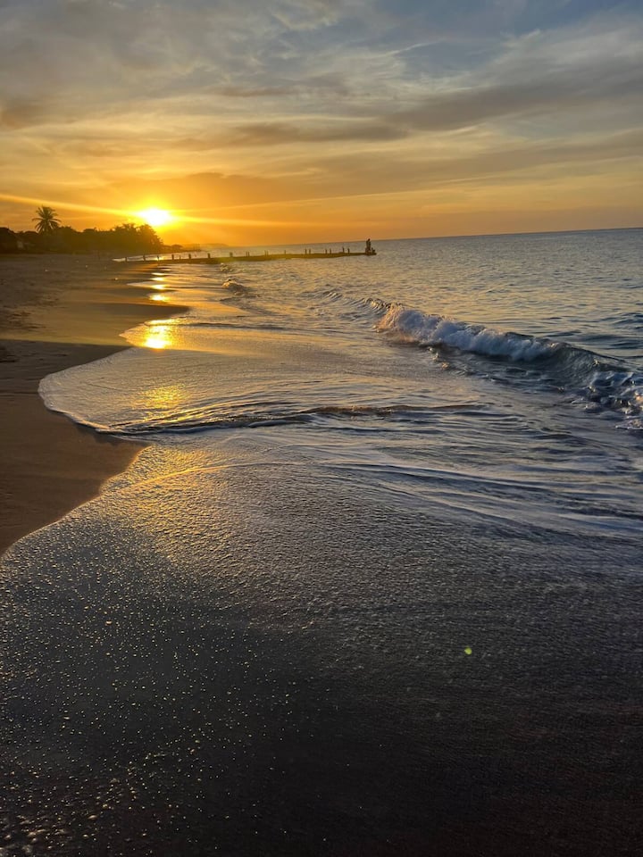 Walk To The Beach! Huge Dining Table - Botanic - Jamaica