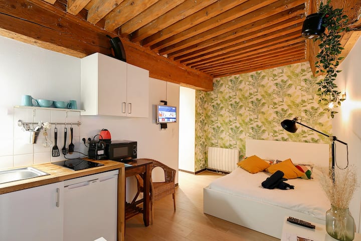 Studio Au Coeur De Lyon - Lyon