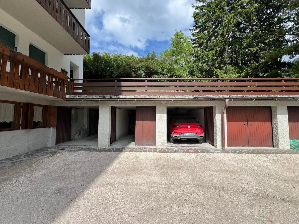 Ca' Del Molin, appartement alpin confortable avec vue - Airbnb