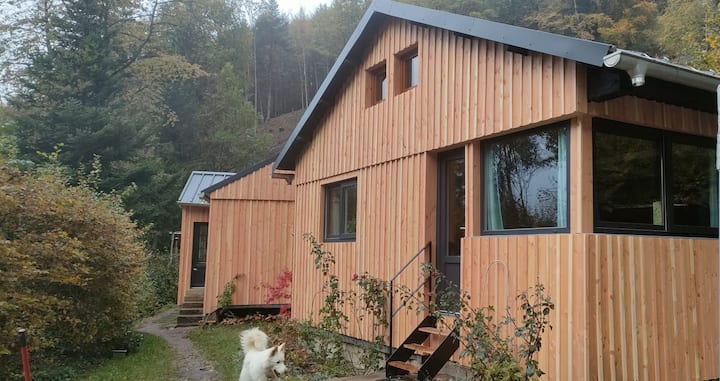 La Fourmi, Bain Nordique Et Sauna - Lapoutroie