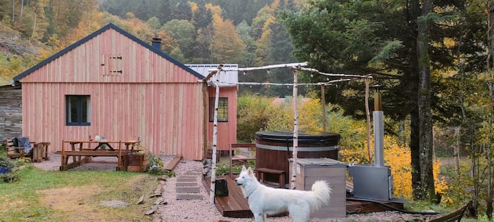 La Cigale, Bain Nordique Et Sauna - Ribeauvillé