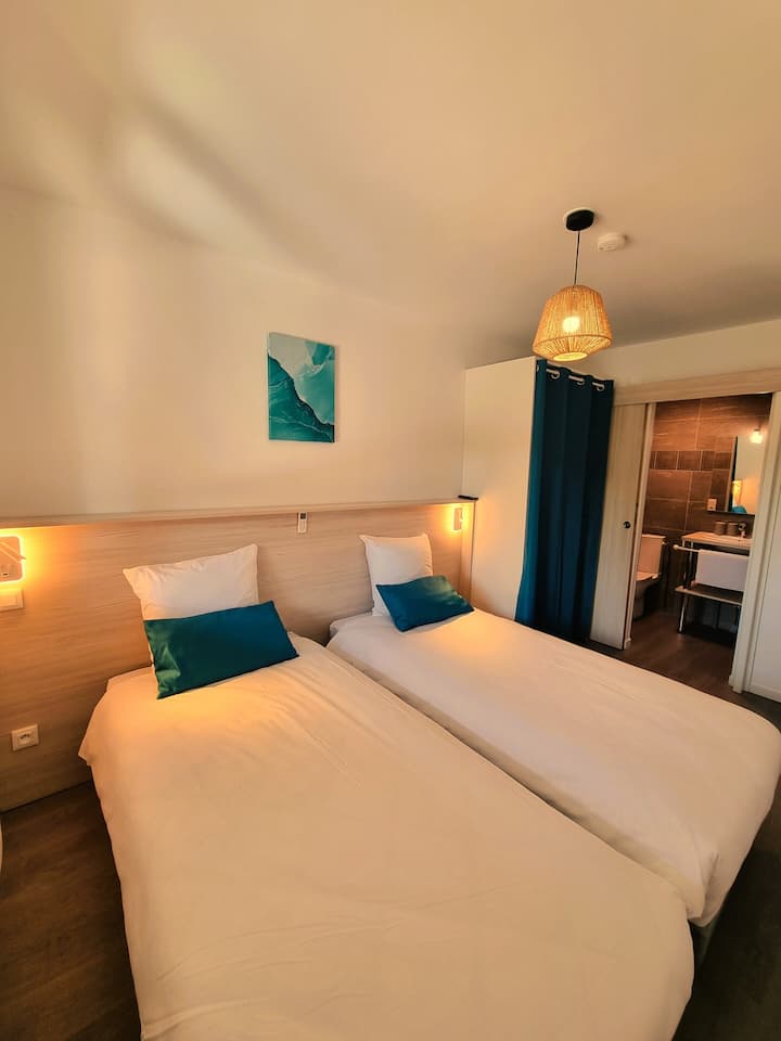 Chambre Lits Jumeaux Rdc Confort - Aix-les-Bains