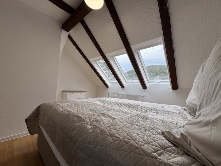 Appartement-salle De Bain Privée-vue Sur La Campag - Bad Wildbad