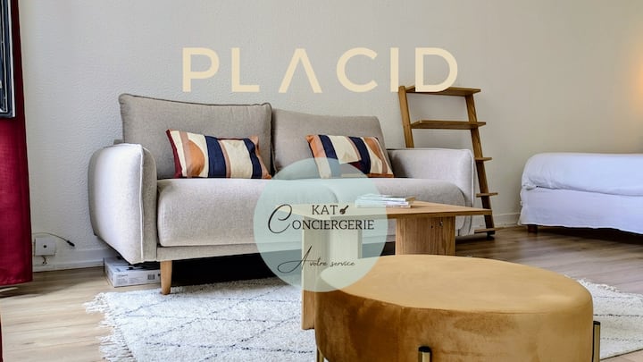 Appartement Cosy Et Plein De Caractère - Vannes - Arradon