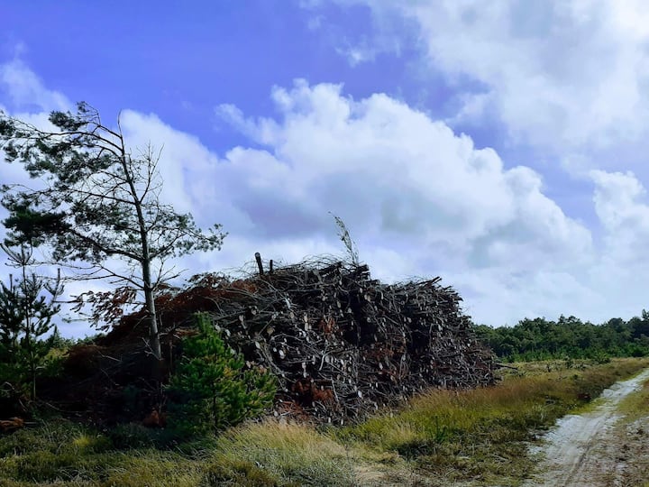 Maison De Vacances Pour 4 A Oksbøl-by Traum - Oksbøl