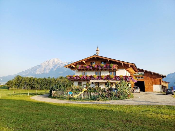 Appartement à Saalfelden Près Des Pistes - Saalfelden