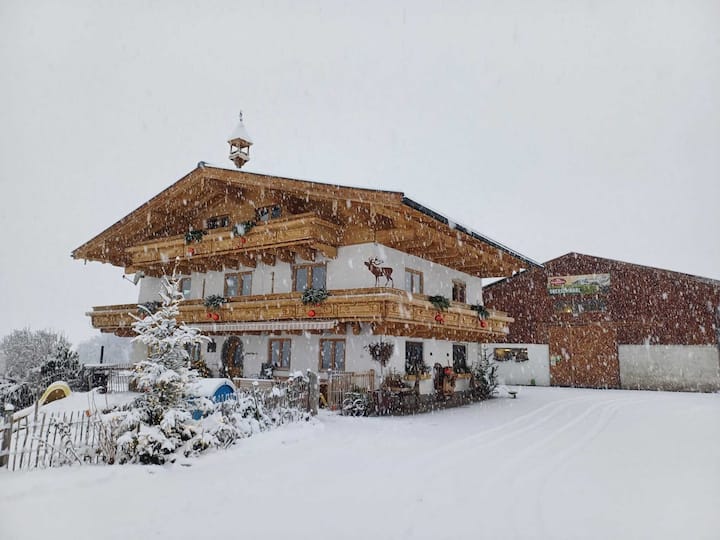 Appartement à Saalfelden Près Des Pistes - Saalfelden am Steinernen Meer