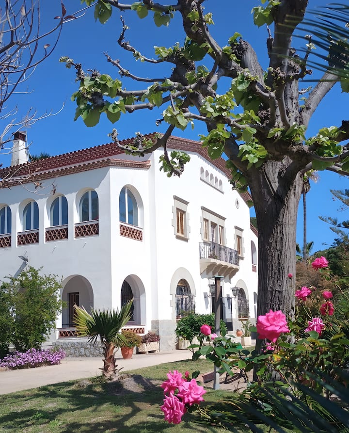 Un Lugar Especial - Premiá de Mar