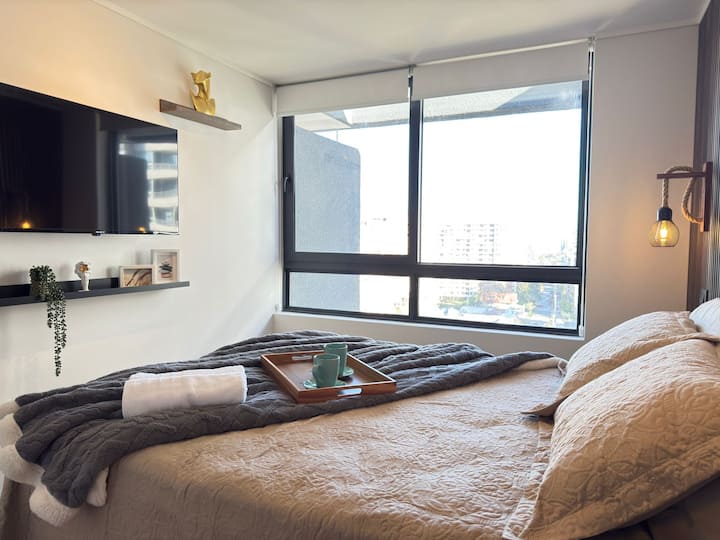 Hom I Metro I Cowork I Parking I Barrio Italia - Santiago, Chile