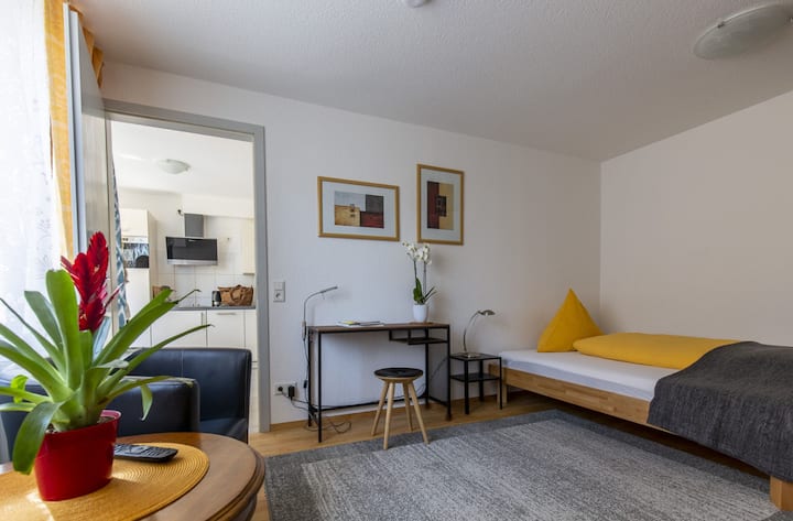 Apartment Topas - Fribourg-en-Brisgau
