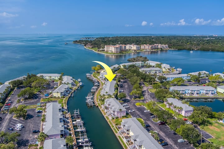 Waterfront Condo In Coquina Key - St. Petersburg, FL