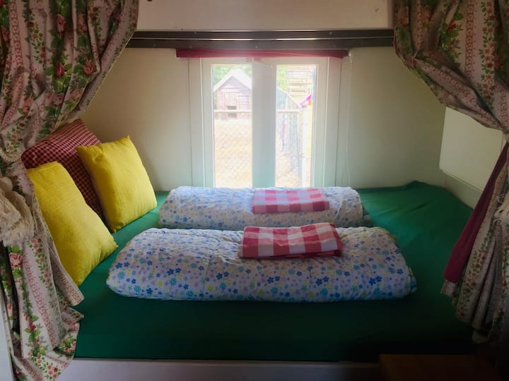 Roulotte à Weideblick Avec Animaux - Bergen op Zoom