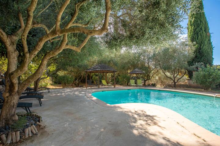 Kenya - ÉCuries Du Mas Di Gau - Brignoles