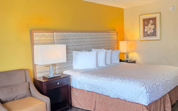 Pet-friendly Room & Café With Award-winning Cakes - Chattanooga