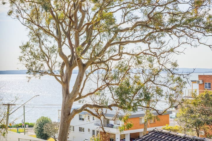 Northward 5, 2 Magnus St - Renovated Unit, Views - Anna Bay