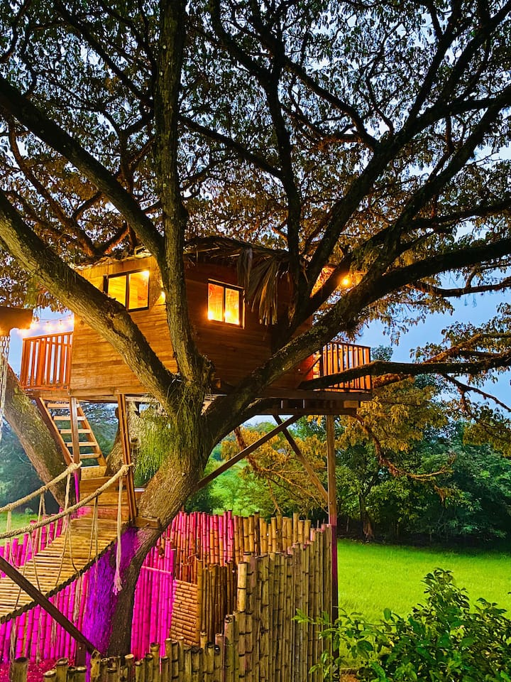 Cabaña En Un áRbol - Ginebra