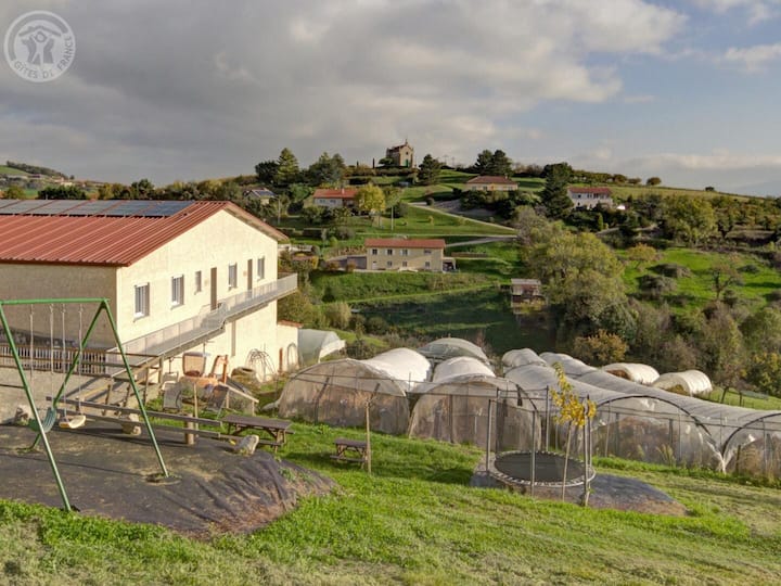 Les 6 Cerises - Lorette