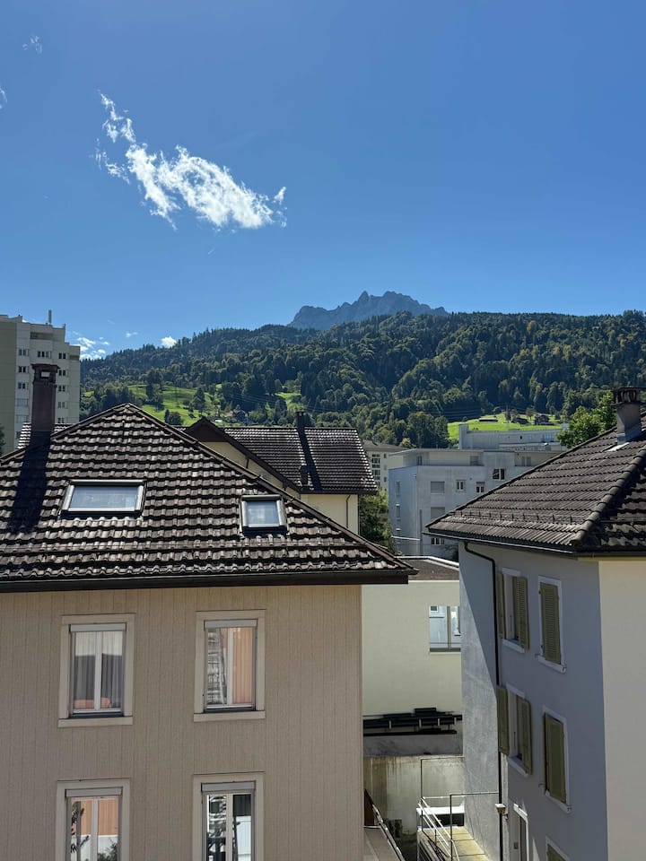 Mount Pilatus View Apartment Lucerne With Wifi & P - Stans
